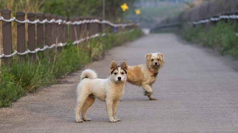 ไลฟ์สไตล์ วาไรตี้น่ารู้ แฟชั่นวัยรุ่น เทรนด์ใหม่ๆ